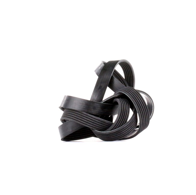 Keilrippenriemen 809221170 OE-Nummer online kaufen